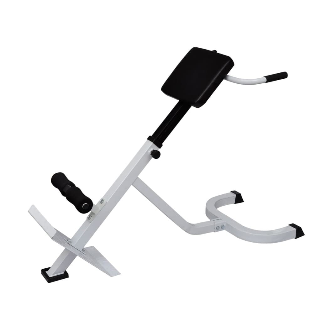 vidaXL Back Extension Bench | vidaXL.com